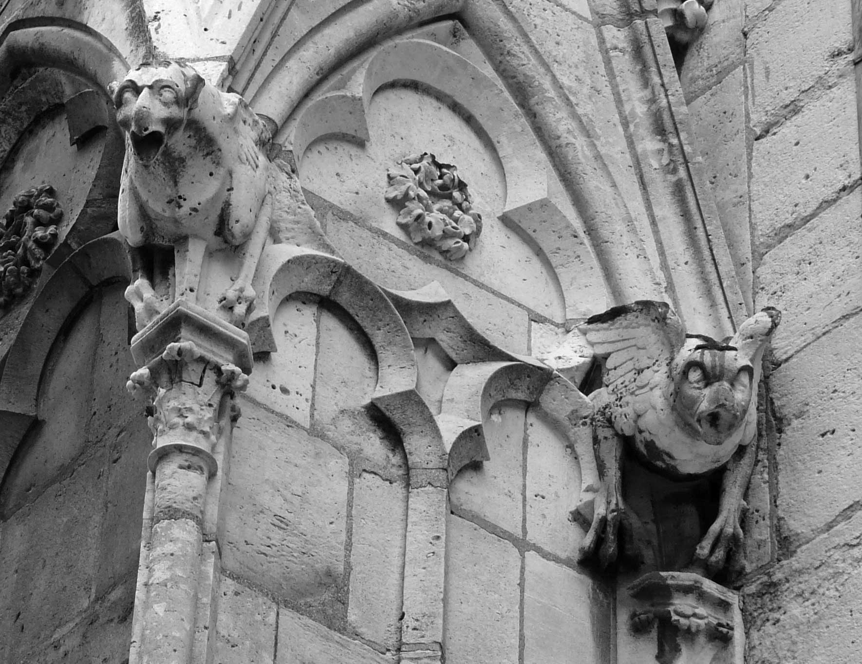 Gárgolas, dragones y mazmorras en las catedrales góticas ·.·★ Estudio