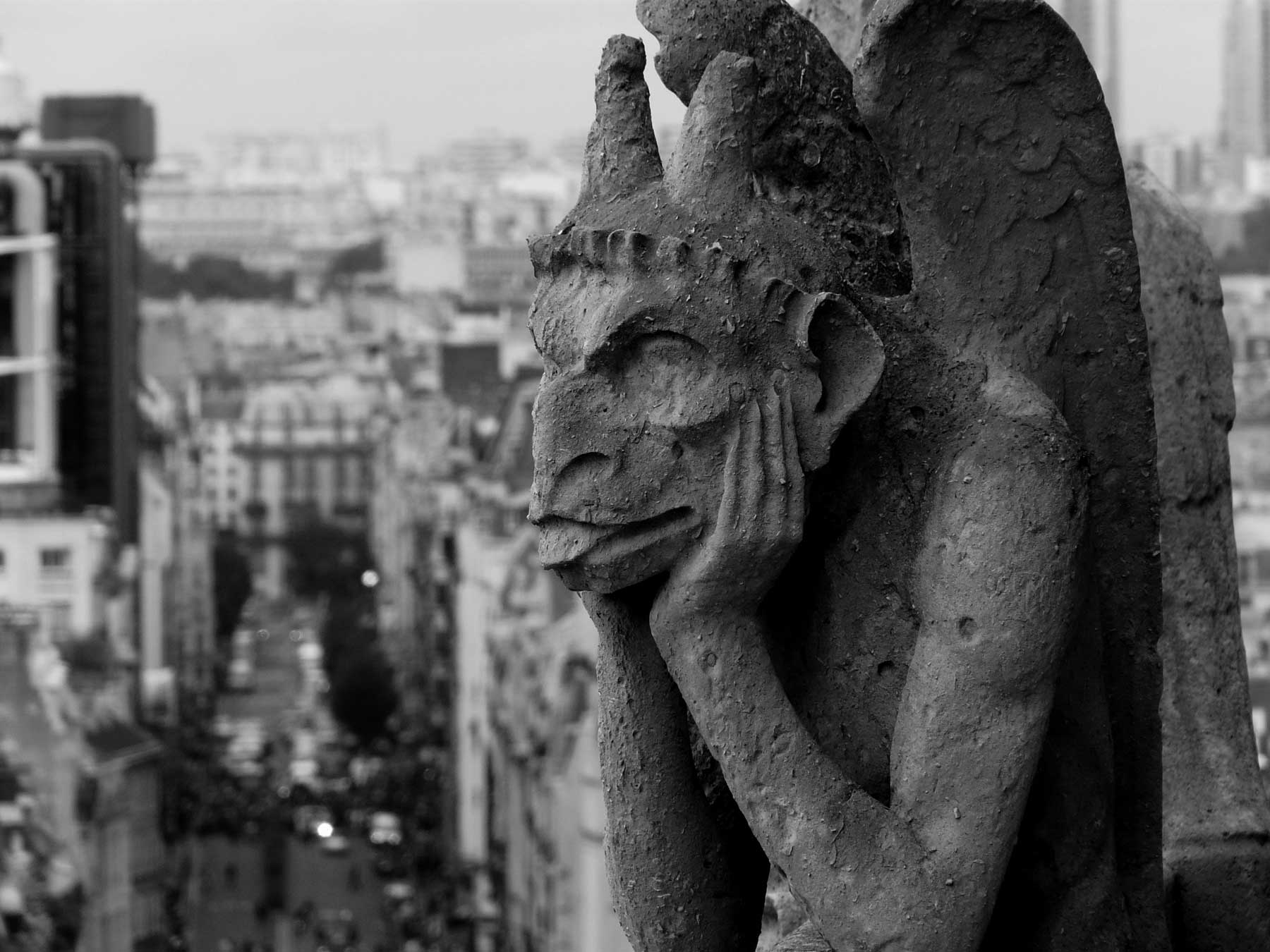 Gárgolas, dragones y mazmorras en las catedrales góticas ·.·★ Estudio