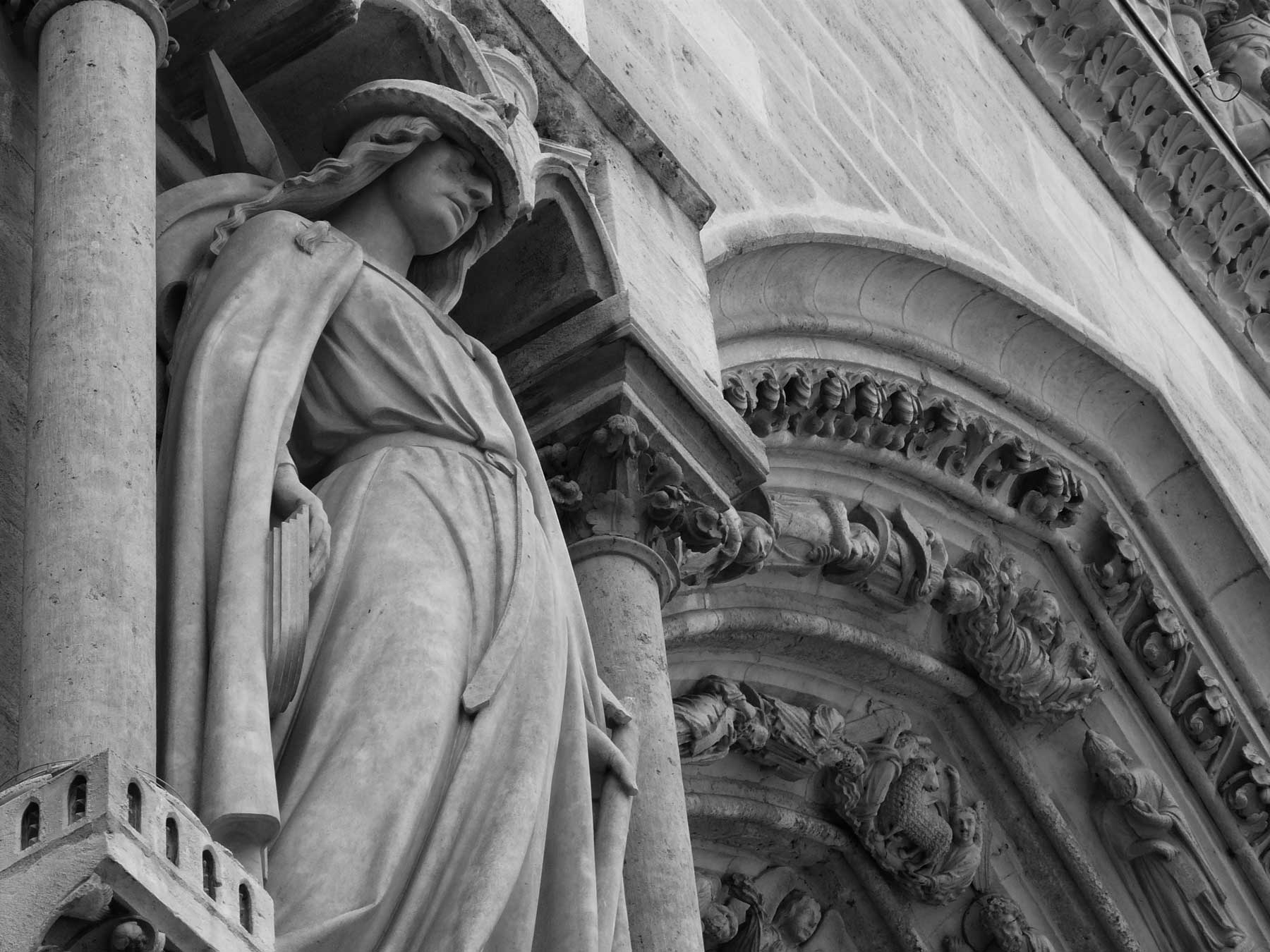 Gárgolas, dragones y mazmorras en las catedrales góticas ·.·★ Estudio