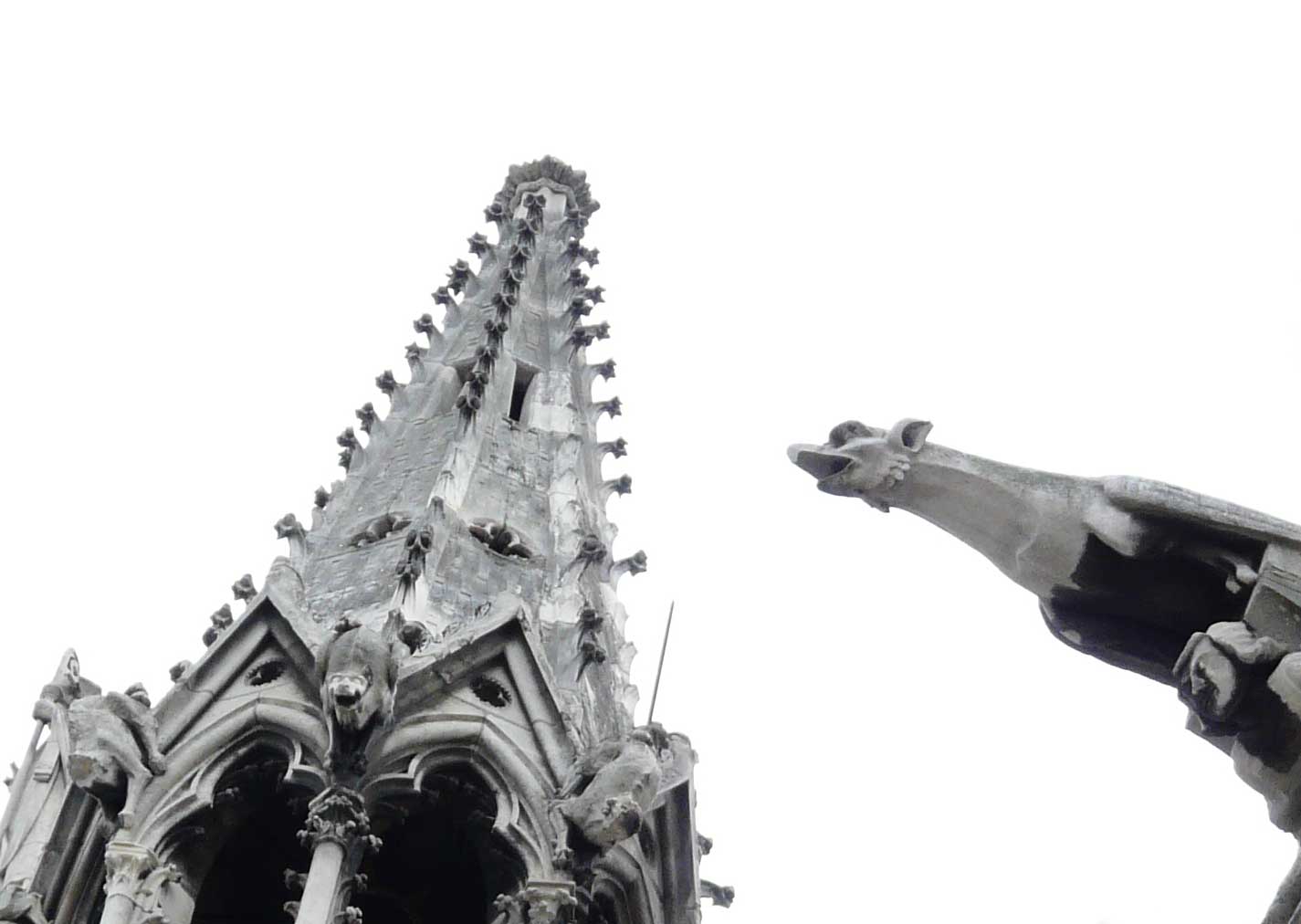 Gárgolas, dragones y mazmorras en las catedrales góticas ·.·★ Estudio