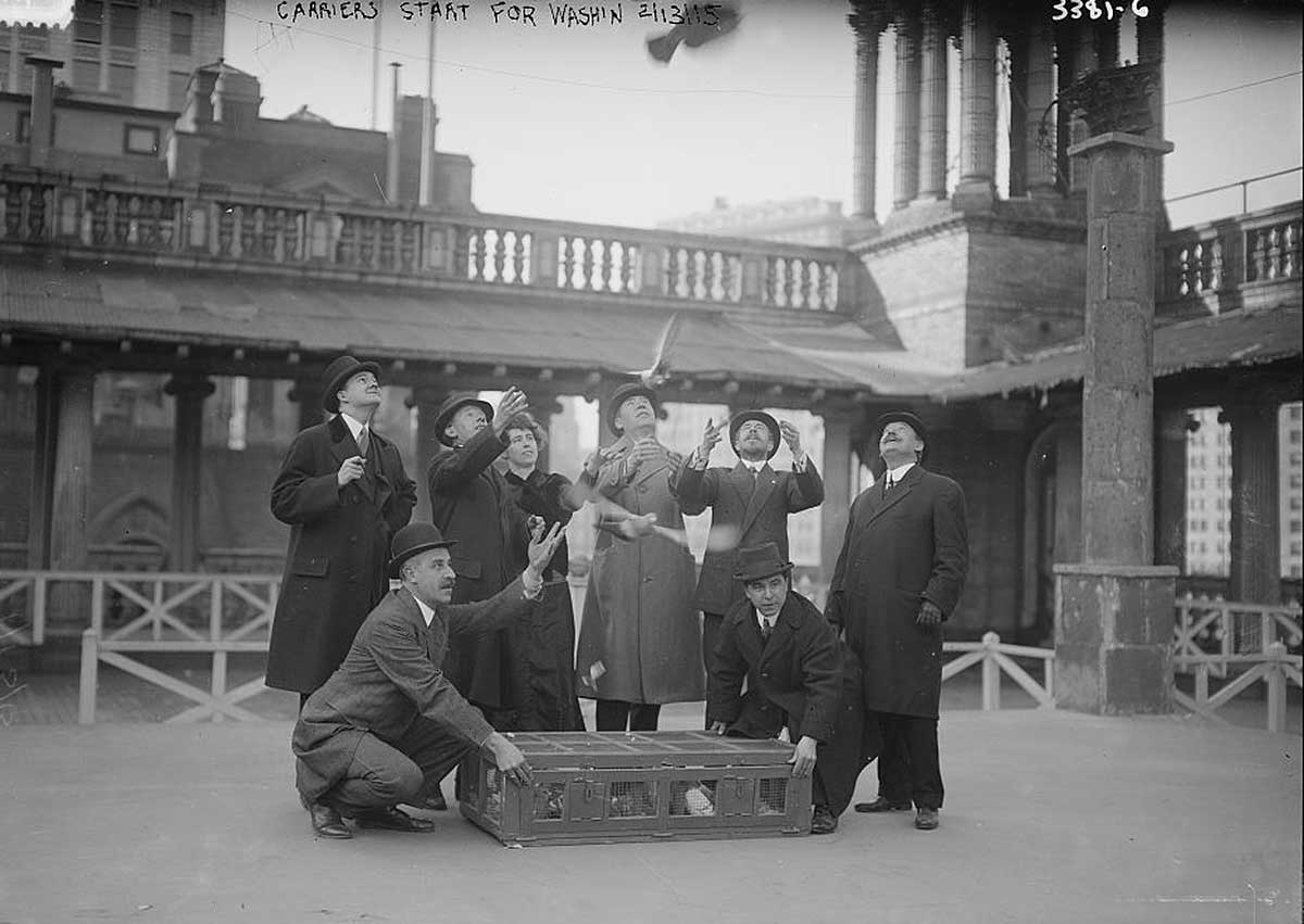 El sórdido mundo de Stanford White ·.·★ Estudio