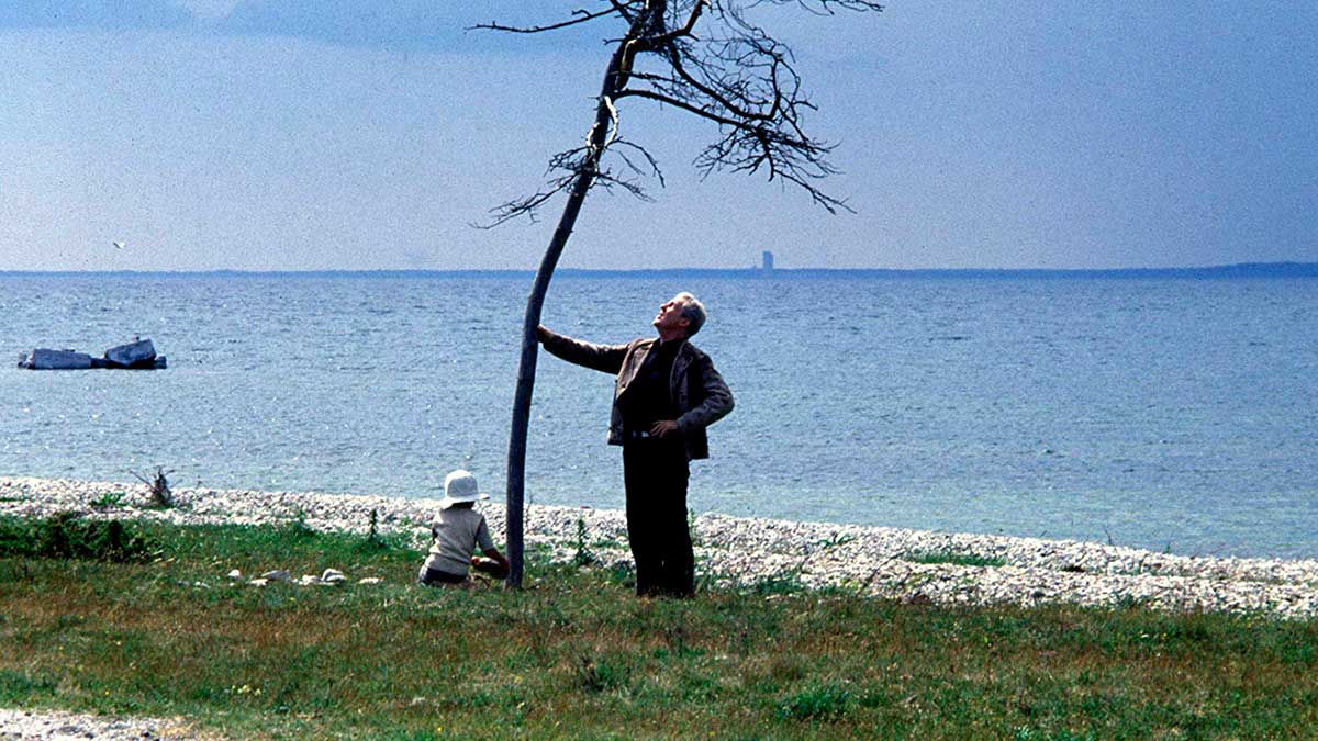 Andrei Tarkovski: El hombre que vió al Ángel ·.·★ Estudio