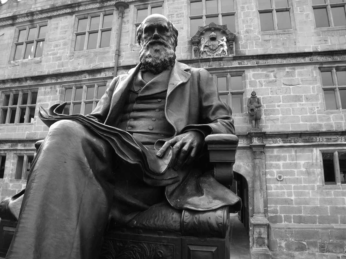 La evolución a través del microscopio según David Swift ·.·★ Estudio