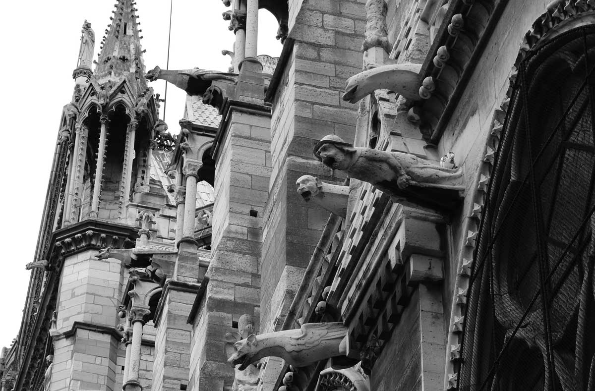 Gárgolas, dragones y mazmorras en las catedrales góticas ·.·★ Estudio
